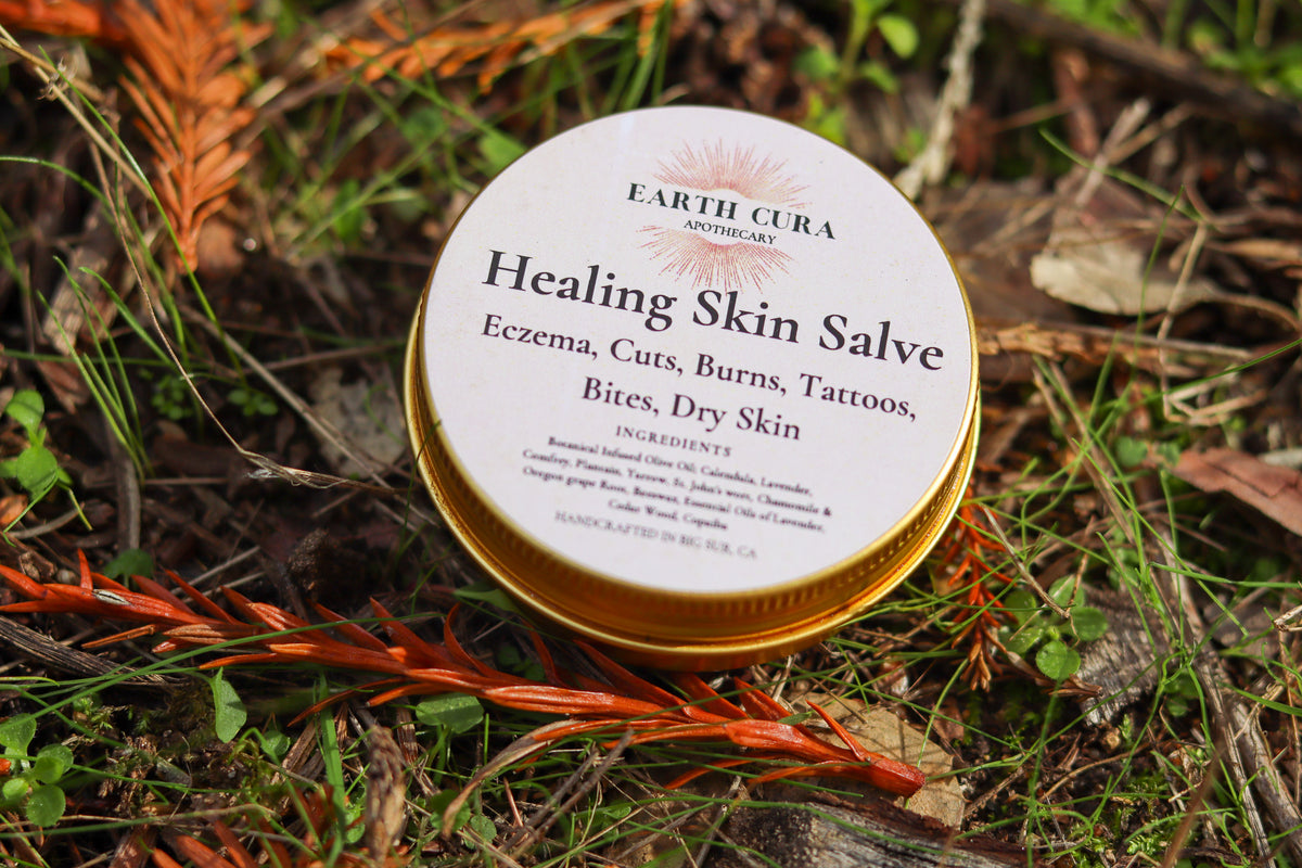 HEAL THY SKIN SALVE - Botanical Infused Oils -Eczema, Psoriasis, Rashe ...